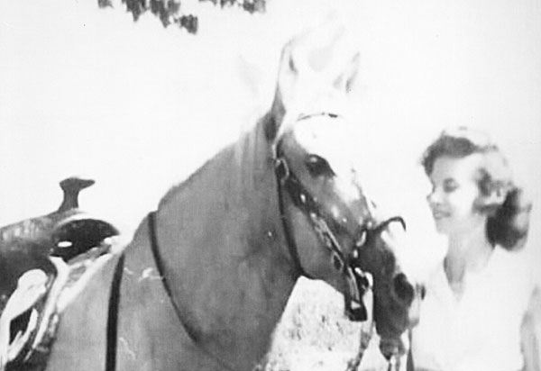 Grace A. Schmidt-Ferrell | News, Sports, Jobs - News and Sentinel